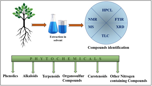 An Overview On Cancer Fighting Phytochemicals From Selected Medicinal